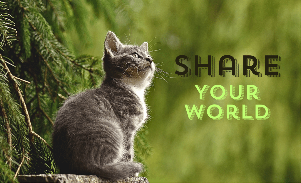 Mangus Khan – A place where I post unscripted, unedited, soulless rants ...